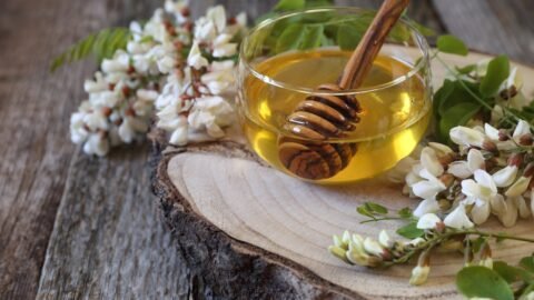 Understanding Acacia Honey, A Golden Gift from Nature - Manuka Honey ...